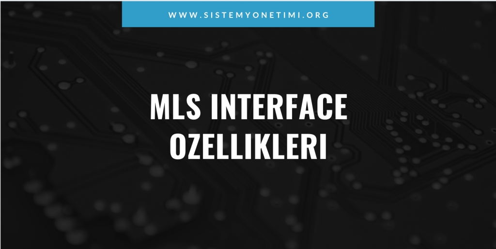 MultiLayer Switch Interface Özellikleri – Sistem Yönetimi
