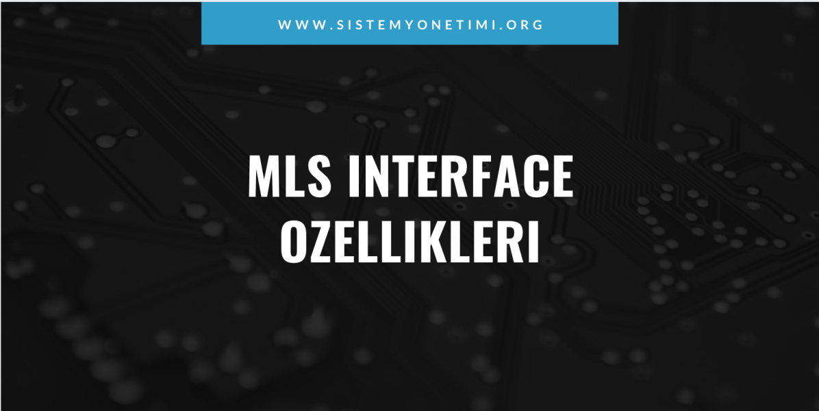 MultiLayer Switch Interface Özellikleri – Sistem Yönetimi